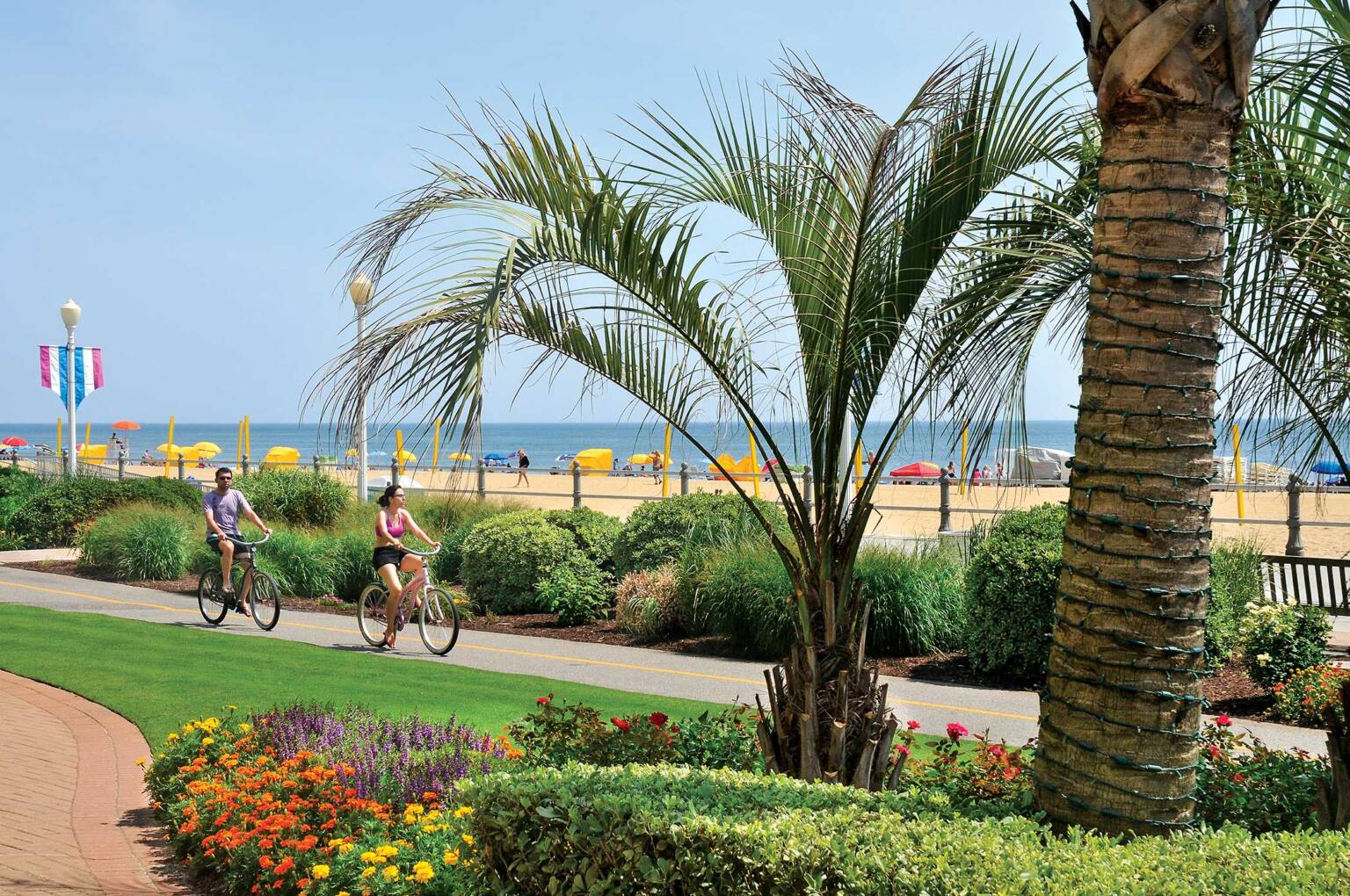 Virginia Beach - Best Beaches on the East Coast and Beyond | VBHA