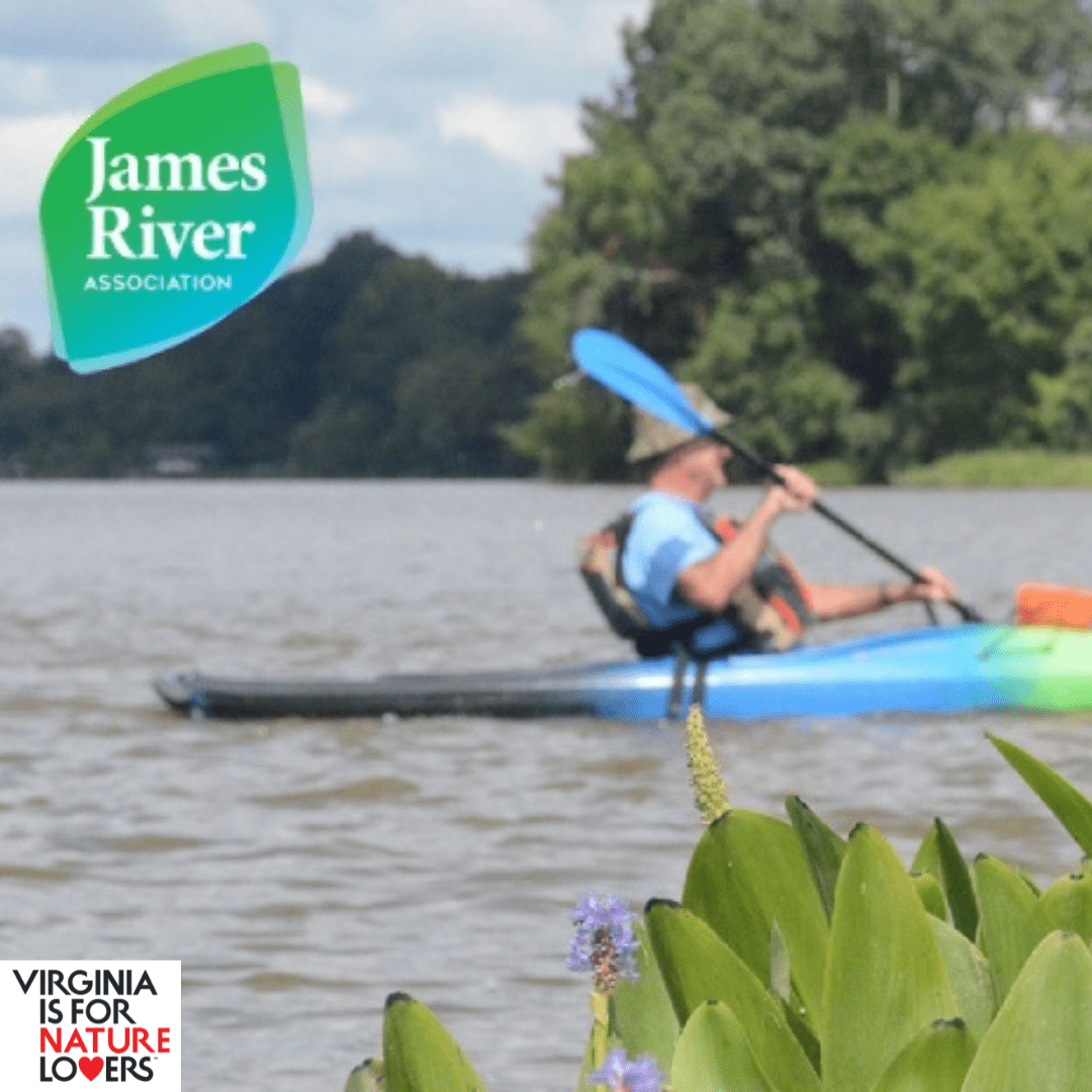 Cypress Swamp Kayak + Brewery | VBHA