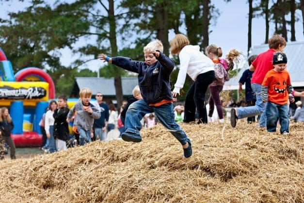 Harvest Fair at Hunt Club Farm | VBHA